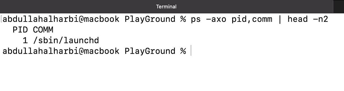 The macOS Microkernel | IPC Message for Injections | by ...