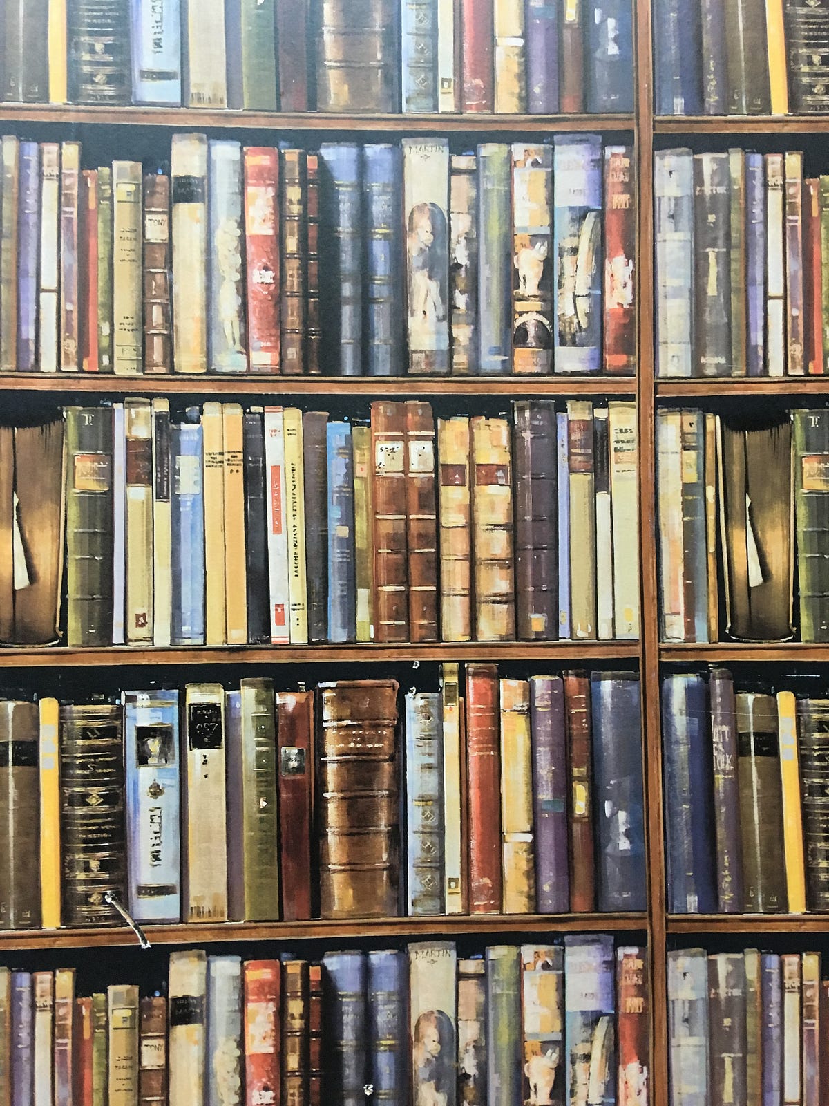 Bibliography — Books I read in 2017 | by Parimala Hariprasad | Prototypr