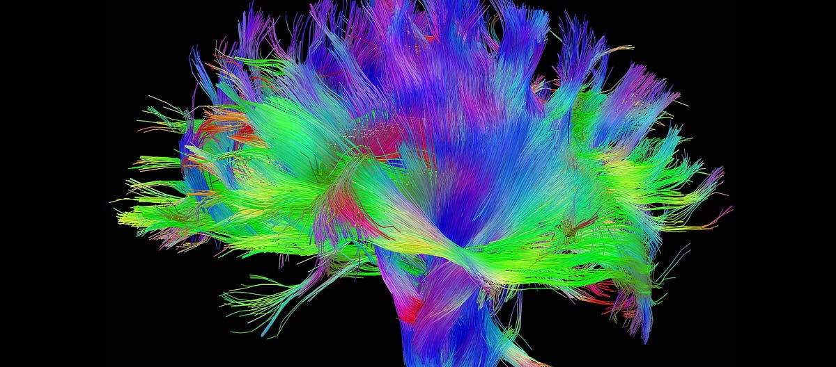 Practical Brain Tractography and Beyond | by Dr. Alessandro Crimi | Of Brains and Men | Medium