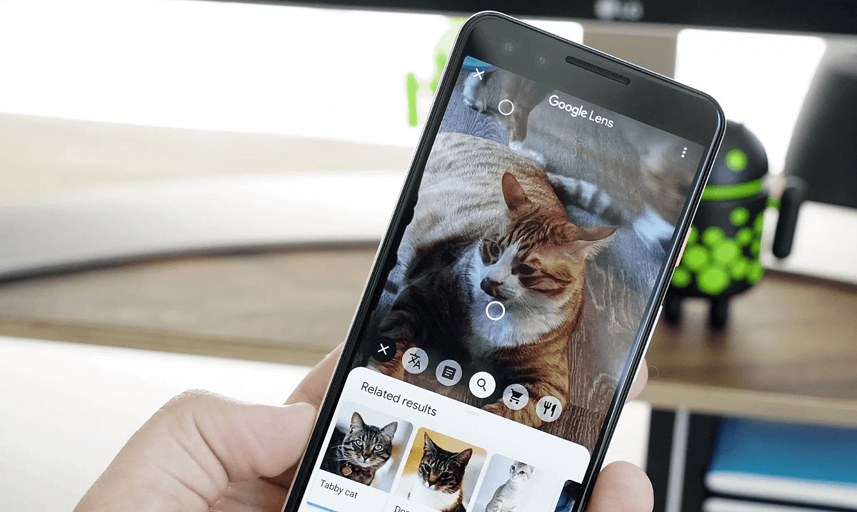Google lens: Your One-stop Solution | by W3docs | Medium