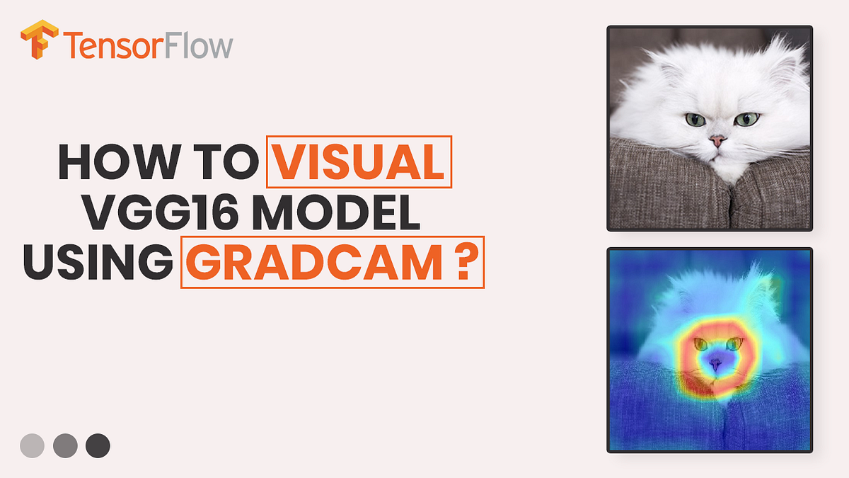 Advanced Computer Vision Tutorial : Understanding VGG16 with Gradcam | by Eran Feit | Image ...