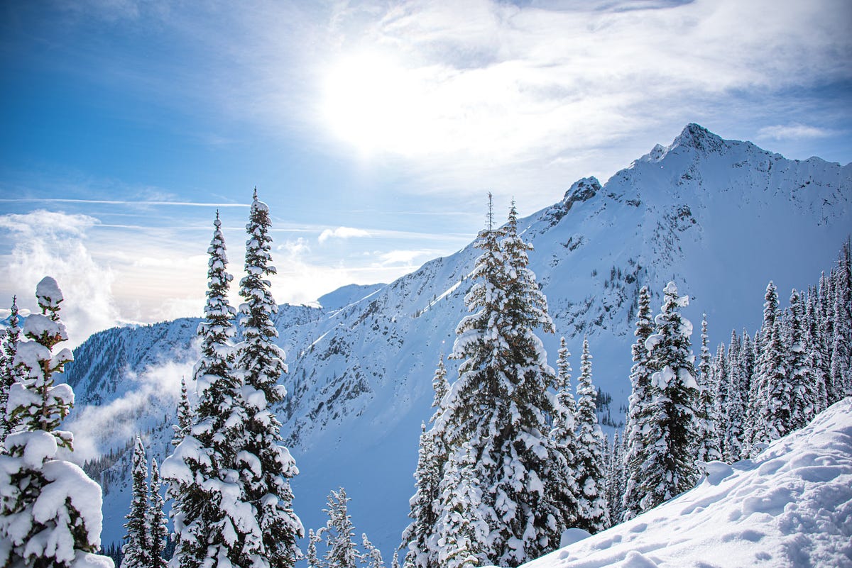 Here’s the Science Behind Perfect Tree Skiing | by Neo techy | Aug ...