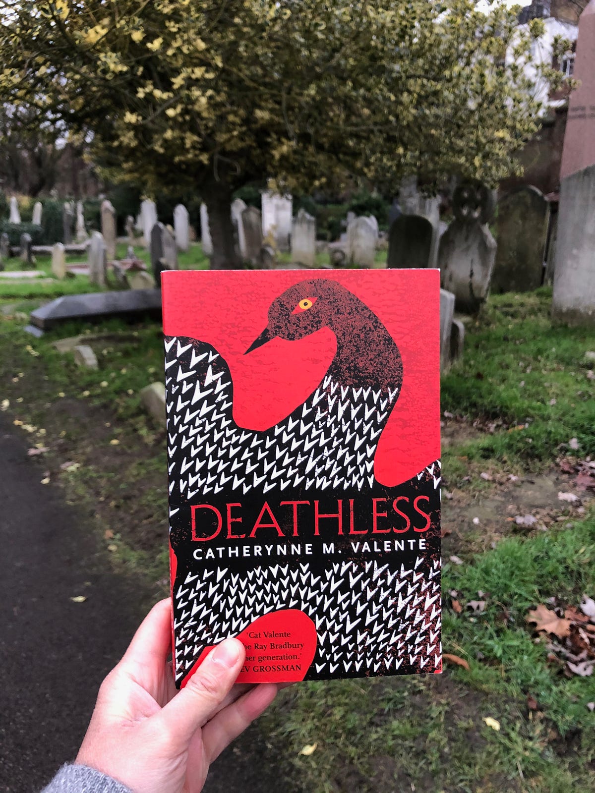 【書】Catherynne M. Valente《Deathless》 | by Jo佐 | jofromtaiwan | Medium