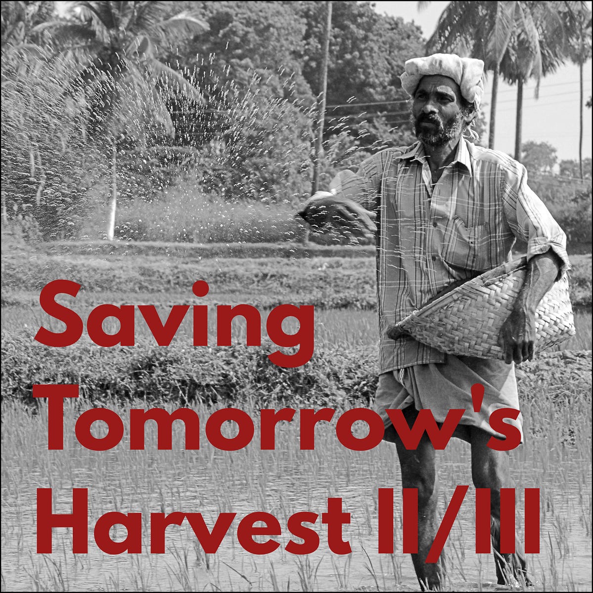Saving Tomorrow’s Harvest II/III. Agriculture is a cornerstone of global… | by Broadpeak GmbH ...