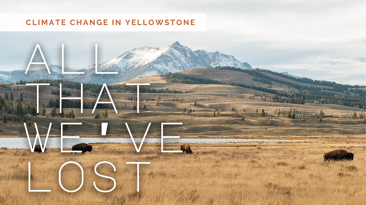 All That We’ve Lost — Climate Change in the Greater Yellowstone ...