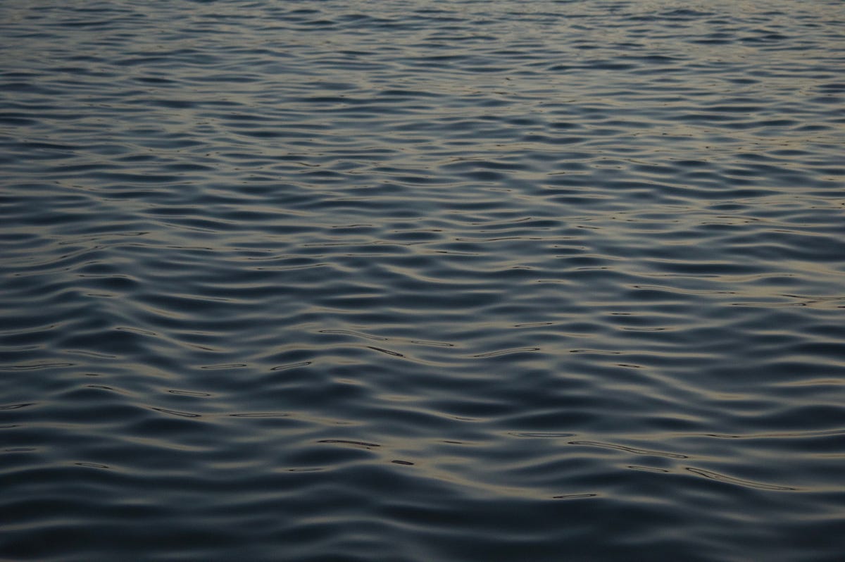 Water in a Changing Climate; Resilience & Restoration | by Sebastian Mortimer | Apr, 2025 | Medium