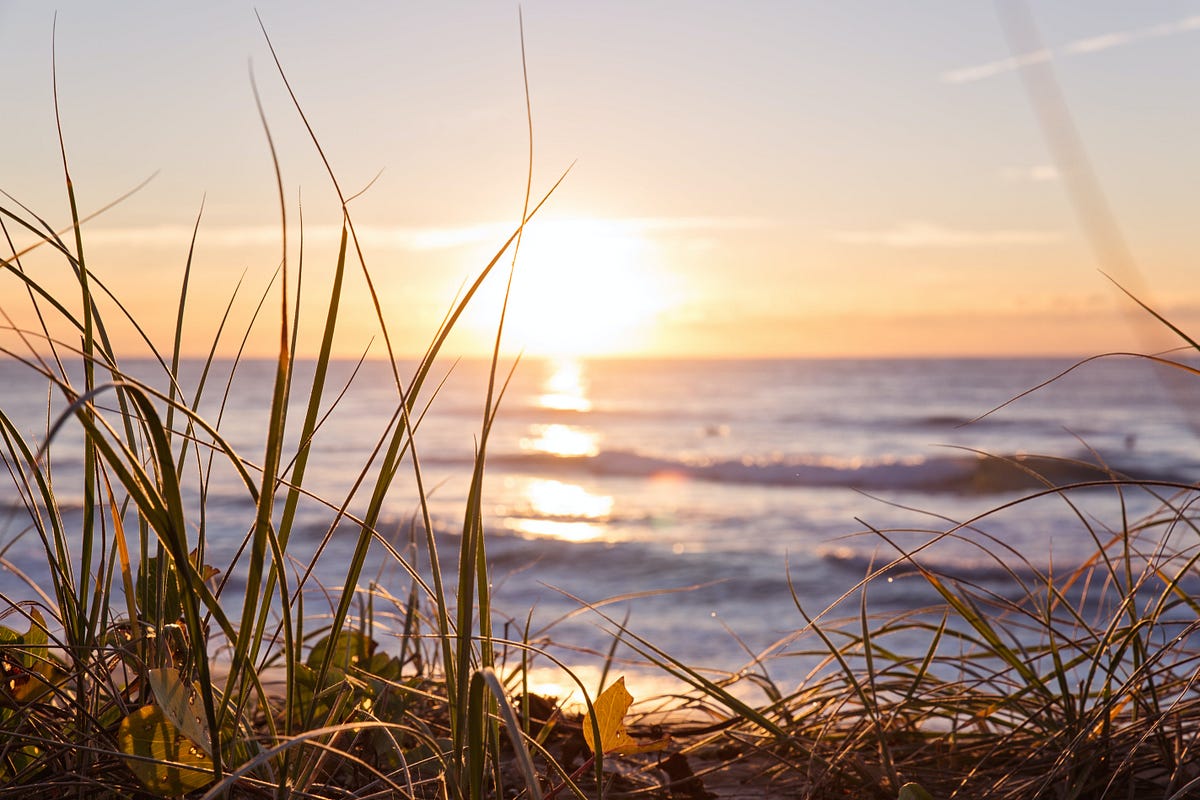 A Month of Standing Still. On my third flirtation with sobriety | by ...