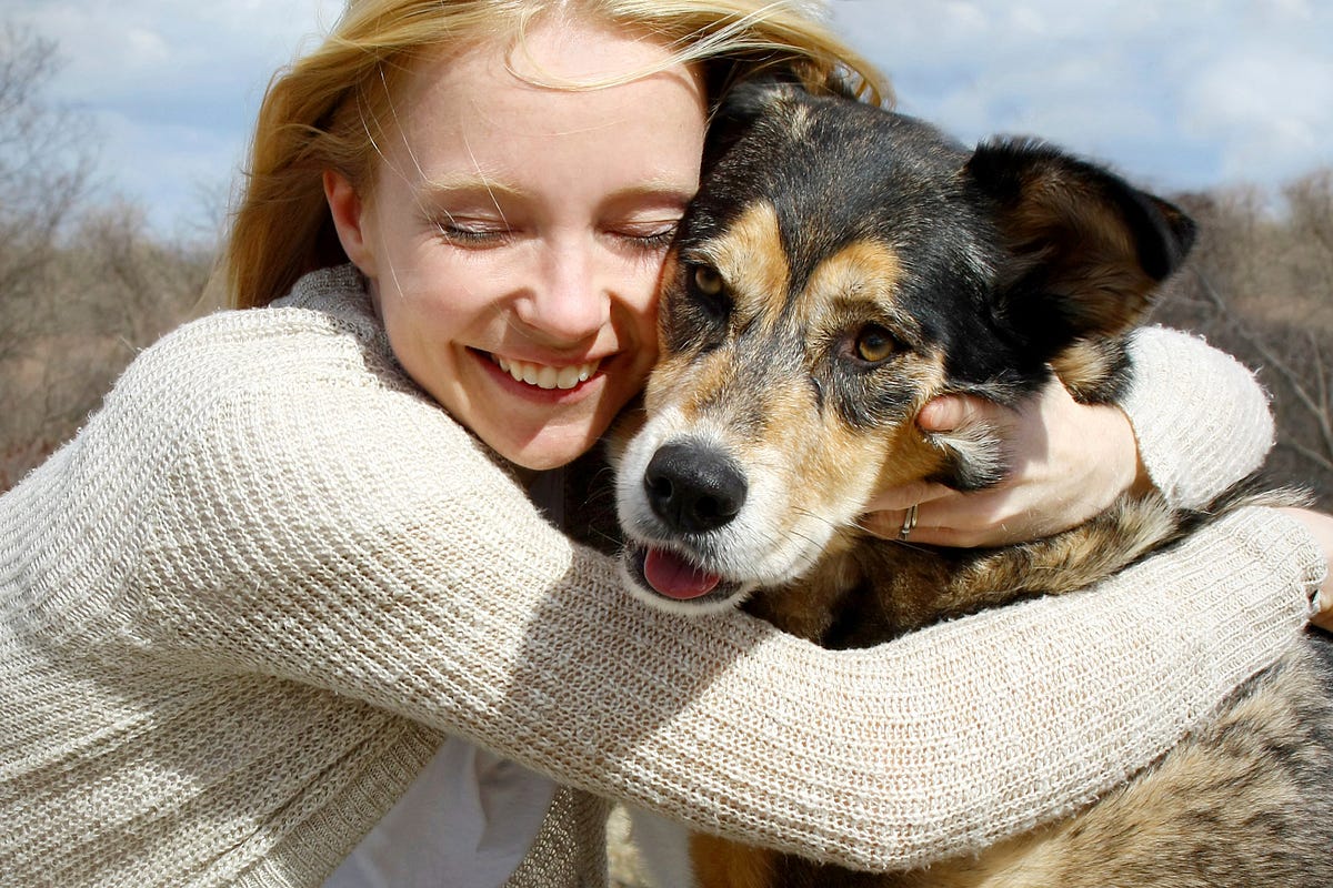 The Joy of Reunion. Today, I will introduce you to a love… | by John ...
