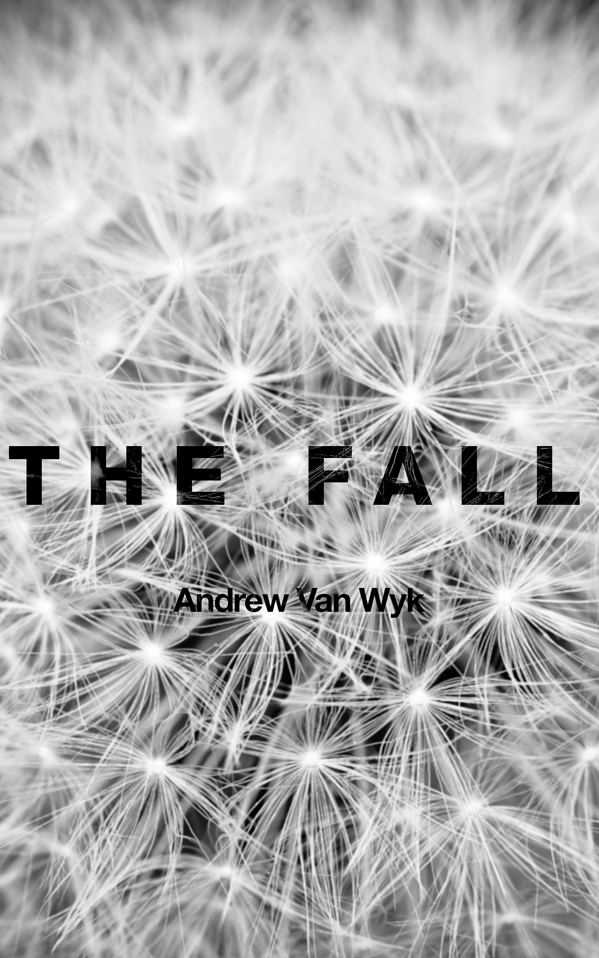 THE FALL. Luke knew he was different, and while… | by Andrew Van Wyk ...