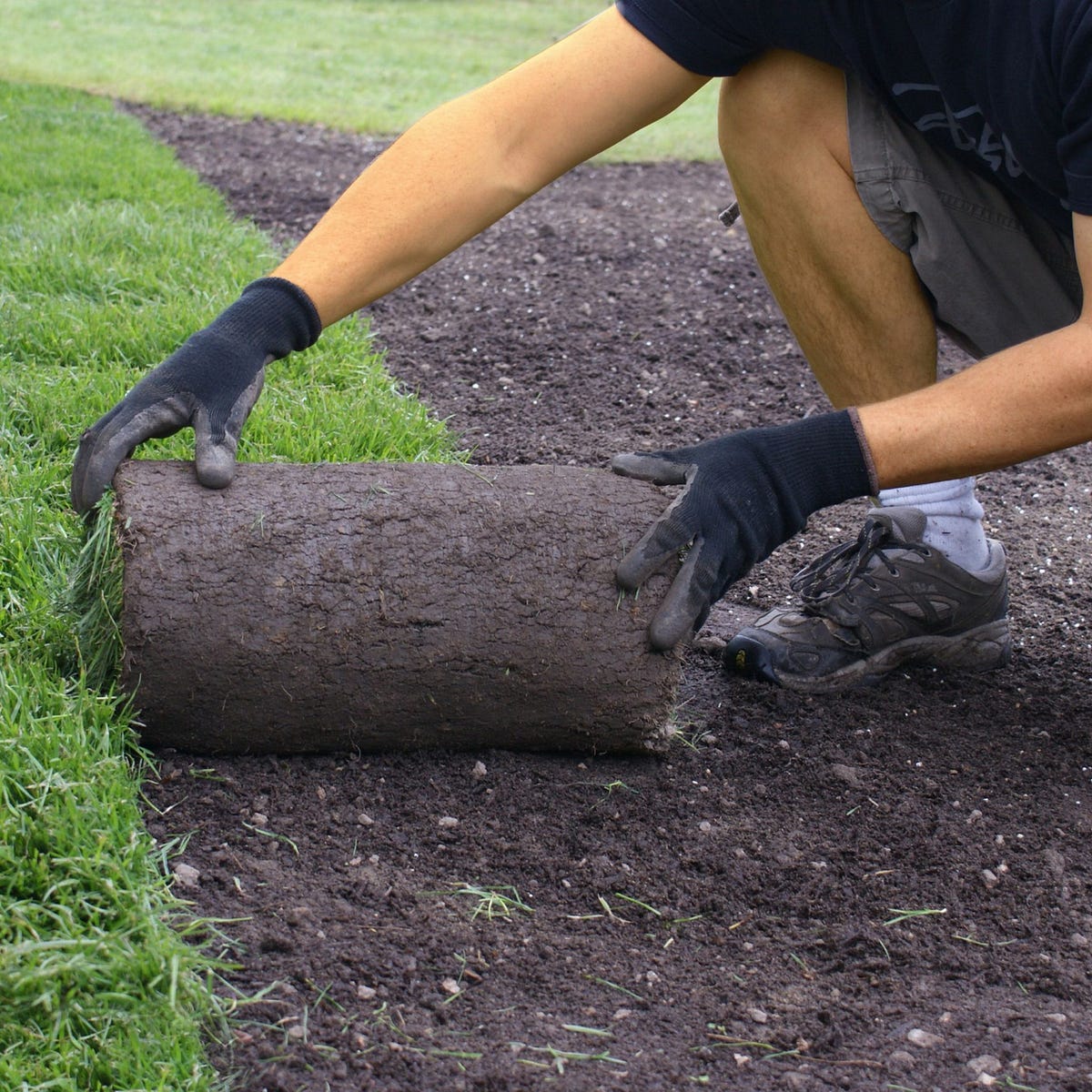 Step-by-Step Sod Installation: A Beginner’s Guide | by Primrose ...
