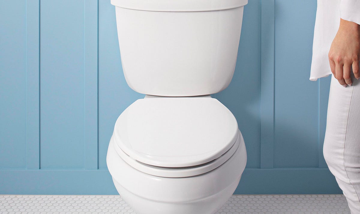 The Trouble with Toilets. A lesson in Incomplete Understanding. | by ...