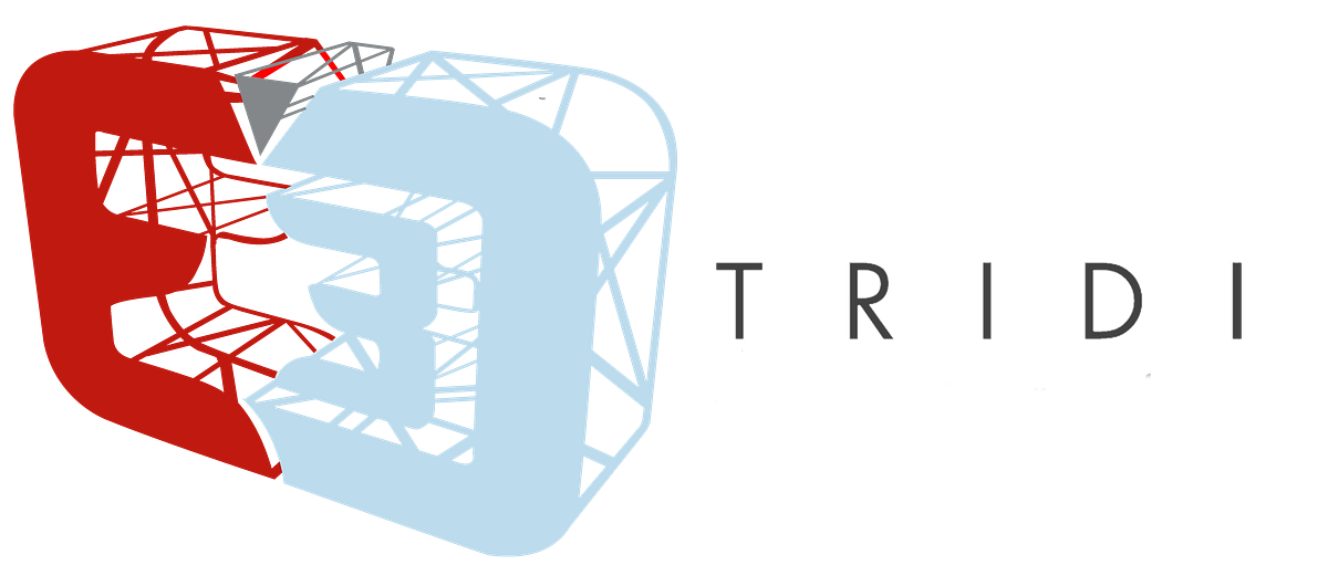 Tridi, impresión 3D con un enfoque diferente | by David R. Morelos | Medium