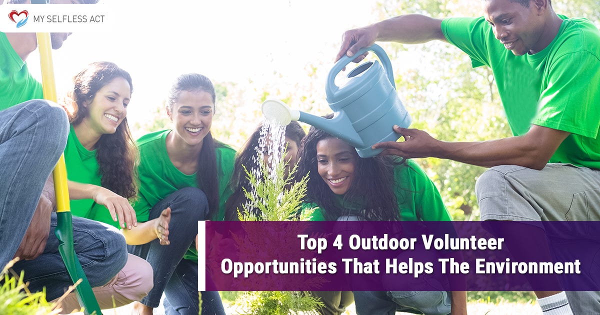 Top 4 Outdoor Volunteer Opportunities That Helps The Environment | by ...
