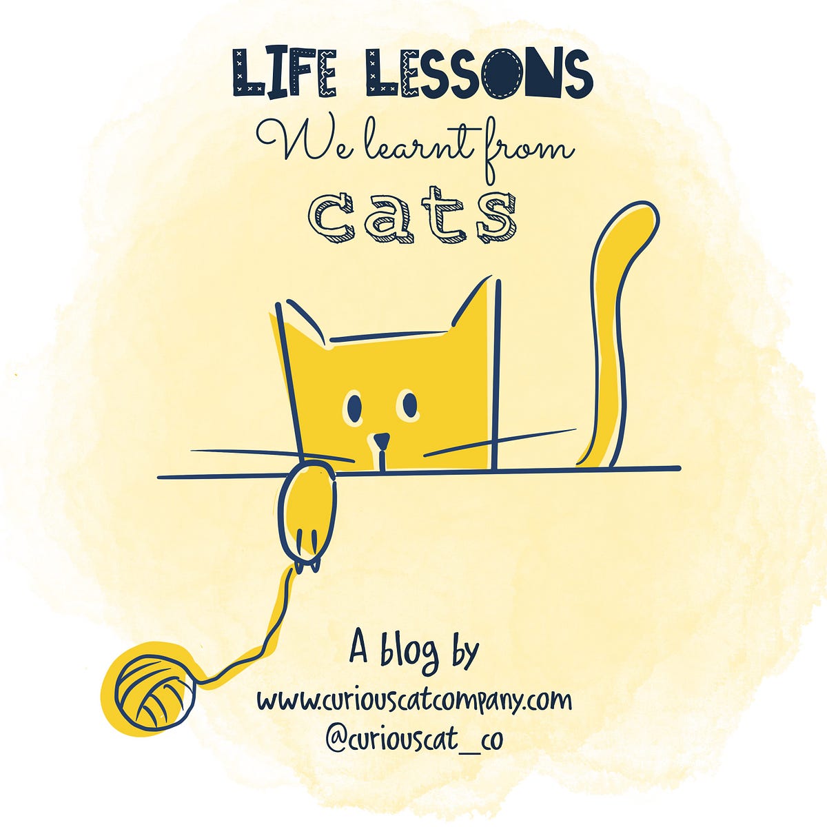 Life Lessons Learned From Cats. Cats always seem so zen, confident ...