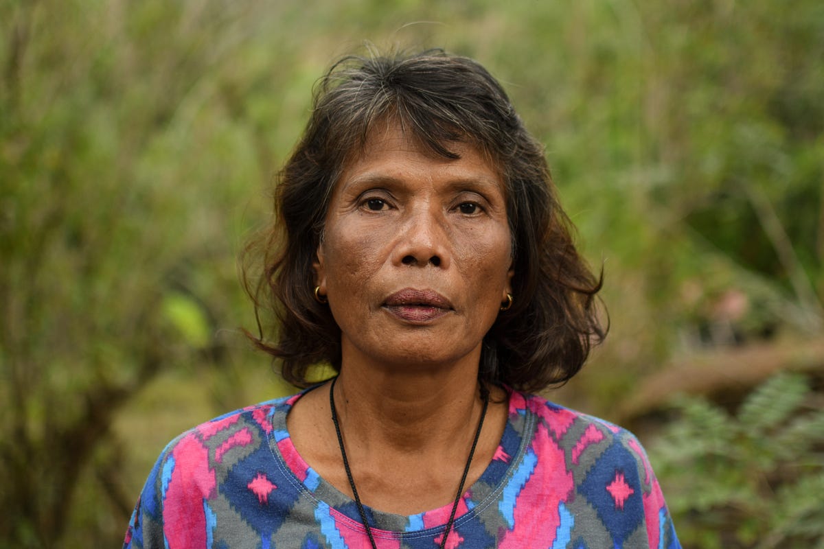 “Green City” undermines Free, Prior and Informed Consent of Indigenous ...