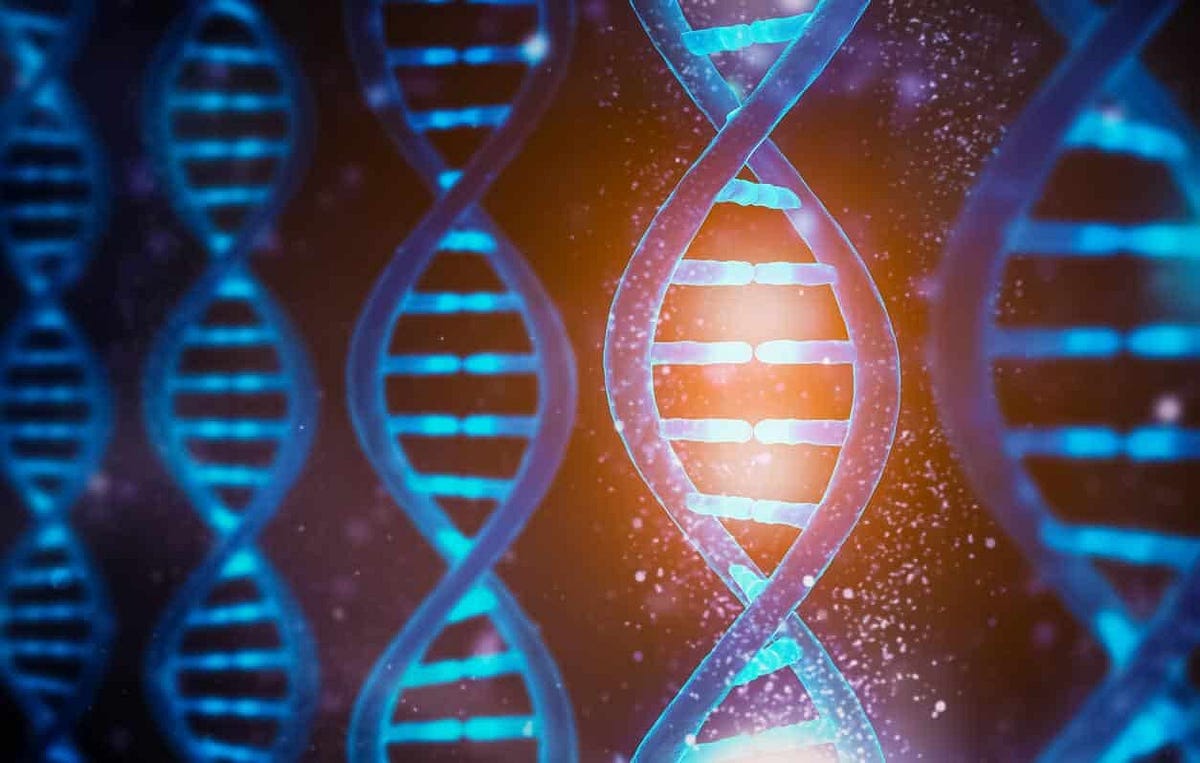 DNA- RNA TRANSPORT AND DISEASES: Every transportation we require good ...