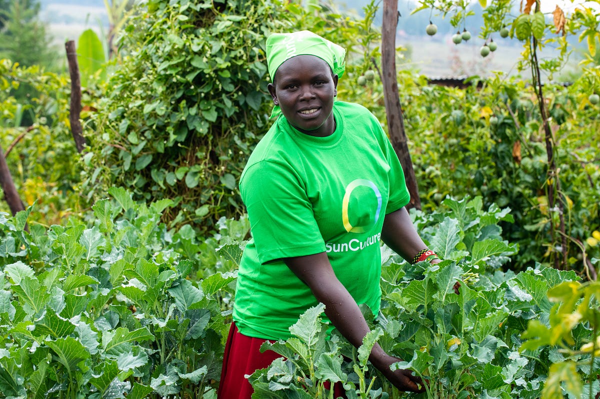 From Seeds to Self-Sufficiency: SunCulture’s Solar-Powered Revolution ...