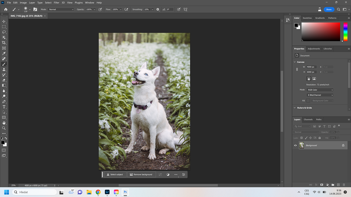 Adobe Photoshop Beta — a new tool for your imagination | by OnYourFeet ...