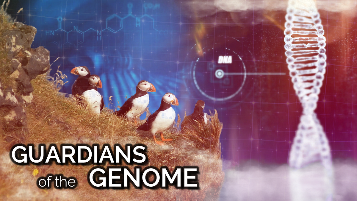 Guardians of the genome. The past, present and future of genome… | by ...