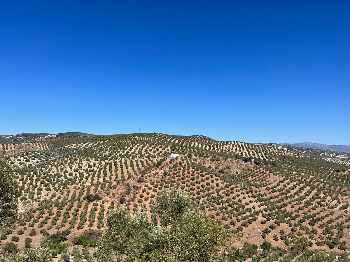 Spanish diary, entry 5. The road from Malaga to Granada is nice… | by ...
