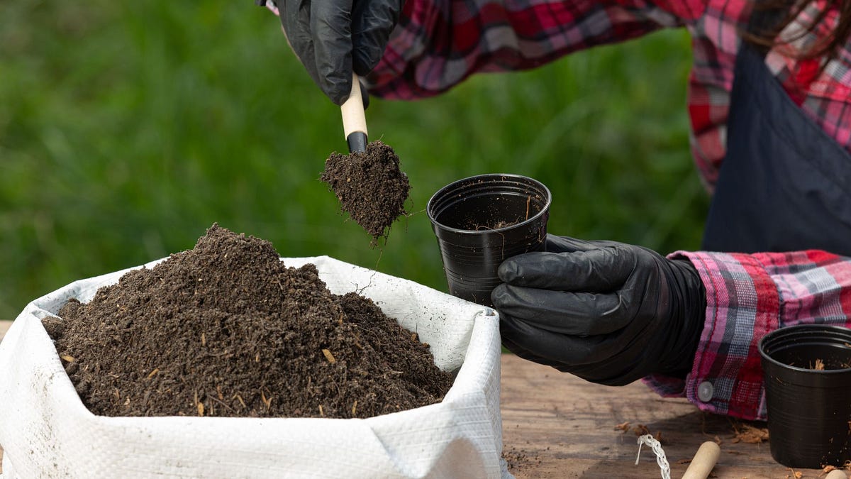 Global Fertilizer Mixtures Market Projected to Surpass USD 35.5 Billion ...