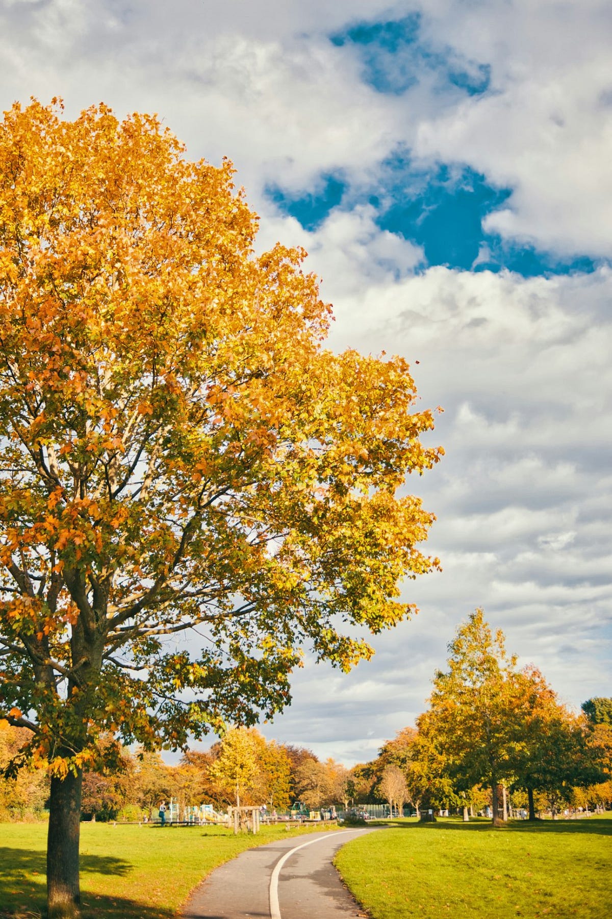 Shifting Way for Change. Because life happens | by Katy Lin | the ...