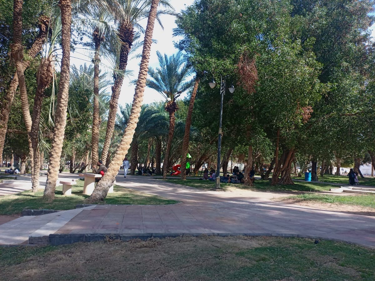 HEALTH AND WELL-BEING. 1.Introduction | by Fatima Gull | Dec, 2024 | Medium