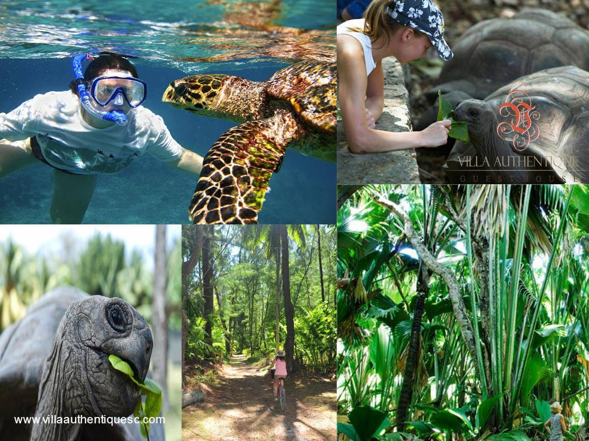 Visiting La Digue Island in Seychelles? Here are 5 fun things to do ... Visiting La Digue Island in Seychelles? Here are 5 fun things to do ...