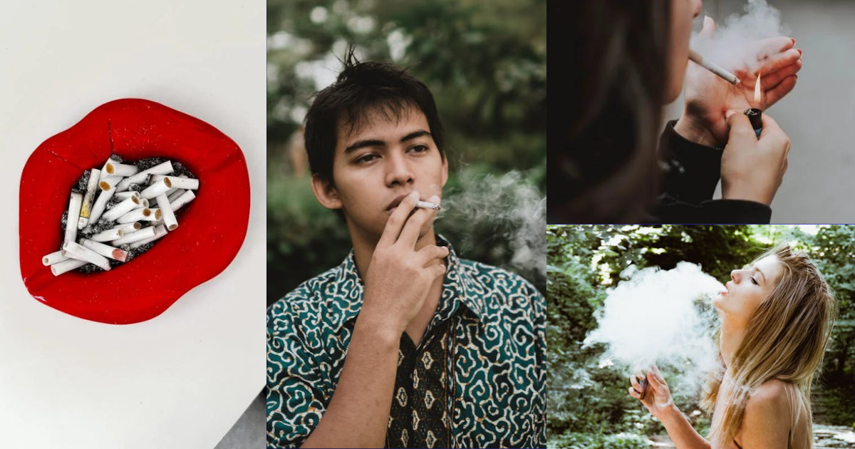 The Harmful Impact of Smoking on your Health | by Mishiansari | Sep ...