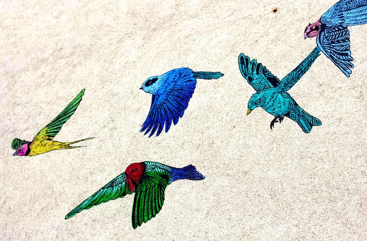 Story of Cookie. Take cookie as metaphor for… | by Arun Bais | Medium