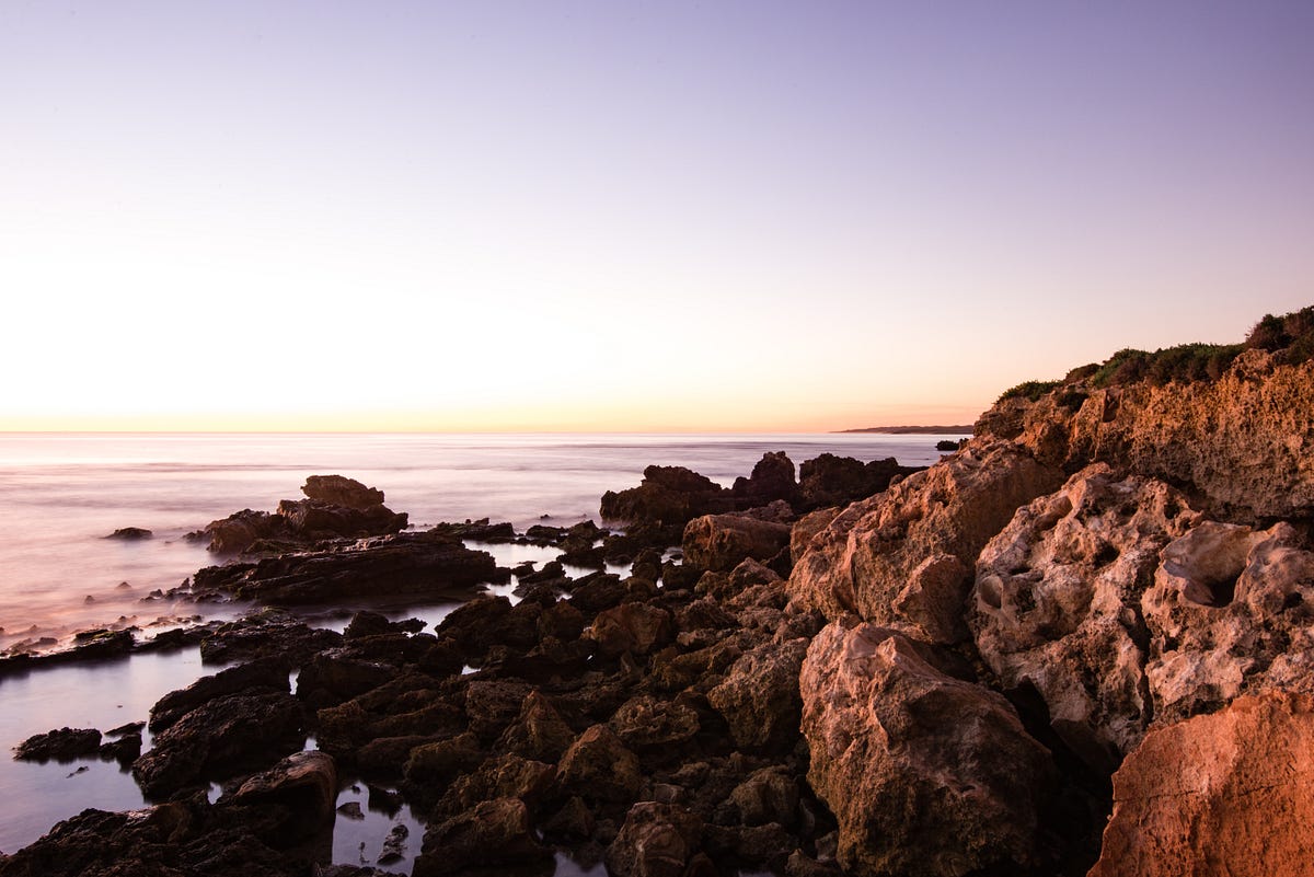 Phlog Friday: Begin at the Beginning | by Andrew Spencer | Medium