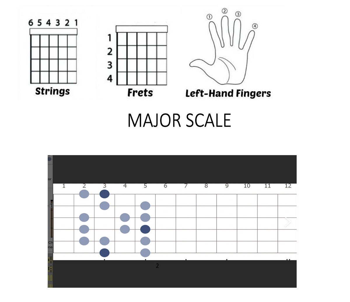 AN ENGINEER’S GUIDE TO BEGINNING GUITAR SCALES | by Norvell Northcutt ...
