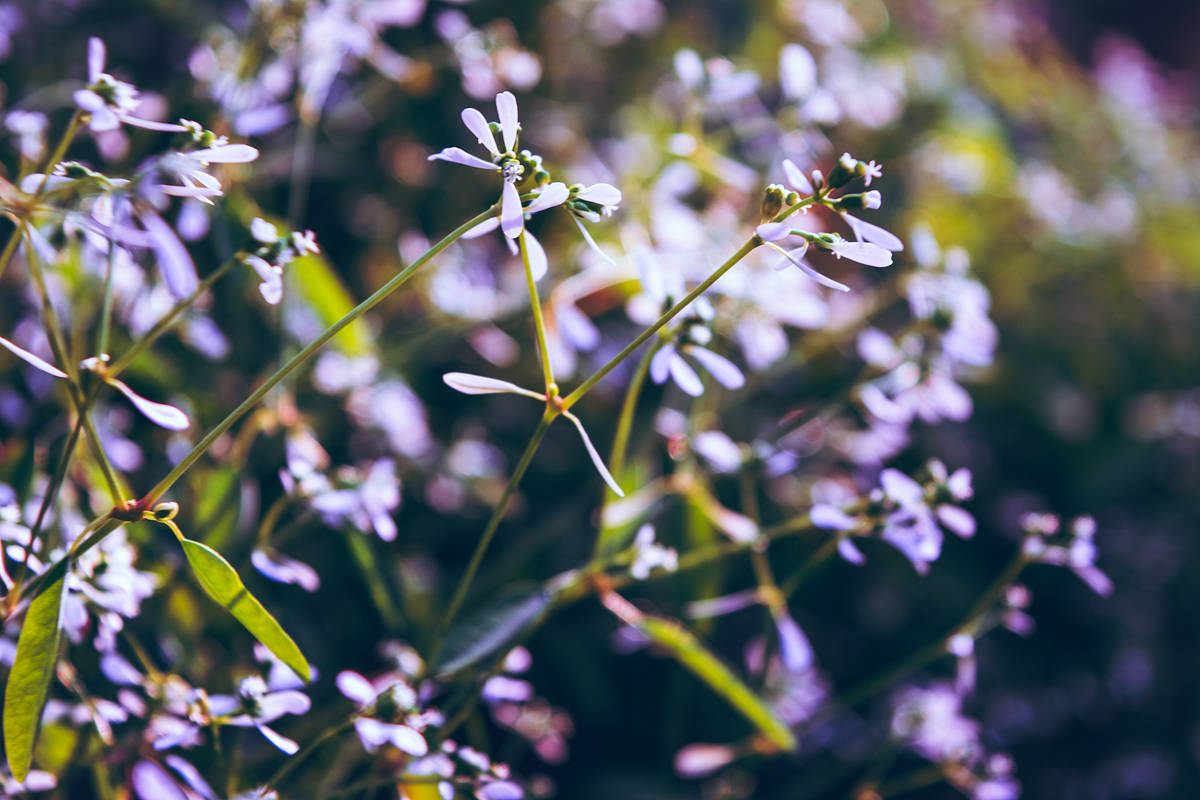 The Bounty. It’s simple — Let It Be | by Ken Coulson | Age of Awareness ...