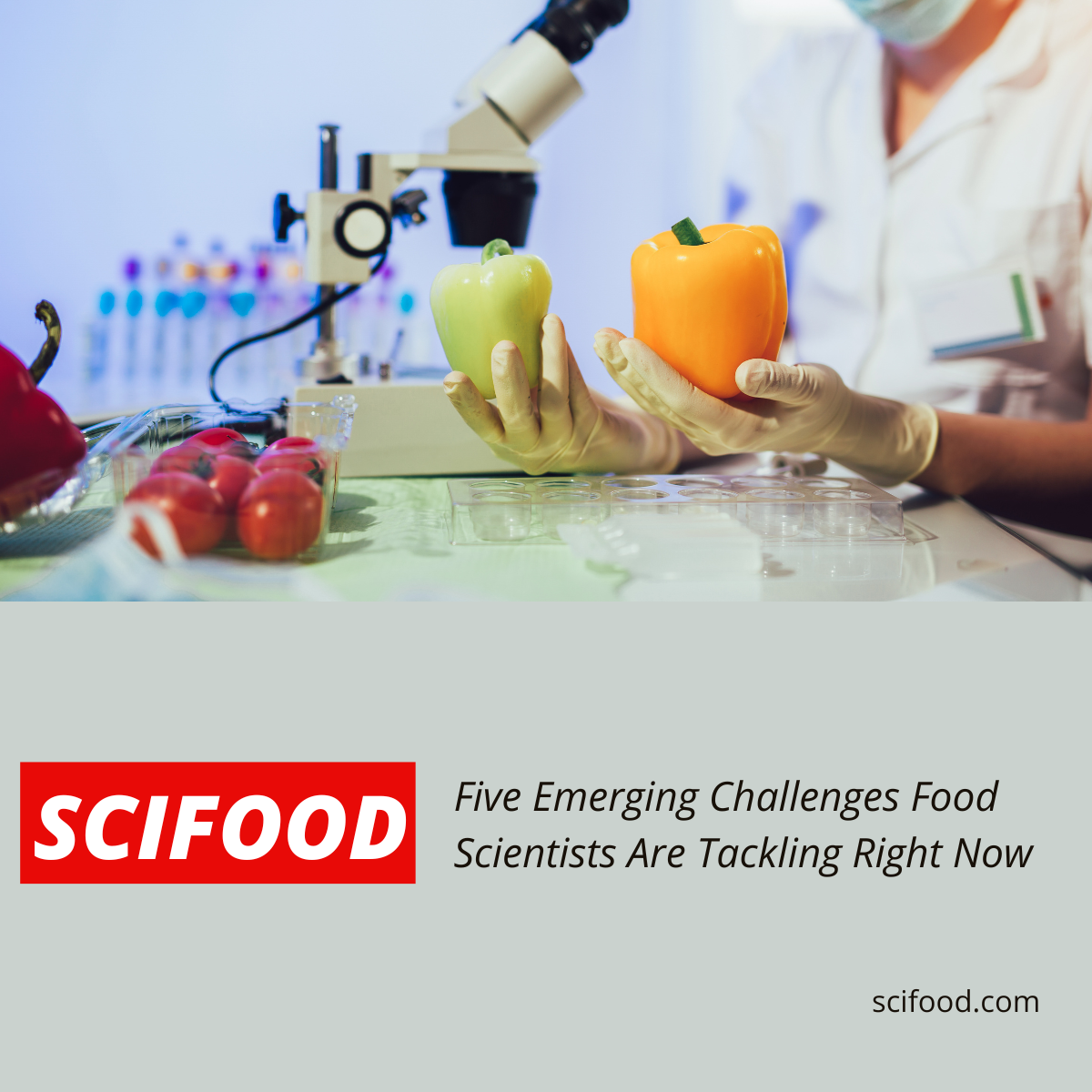 The Five Emerging Challenges Food Scientists Are Tackling | by Nicholas ...