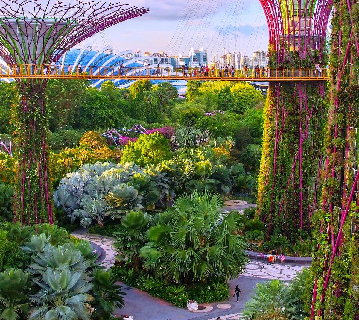 Why cities need more trees now?. Trees act like a natural sponge… | by ...