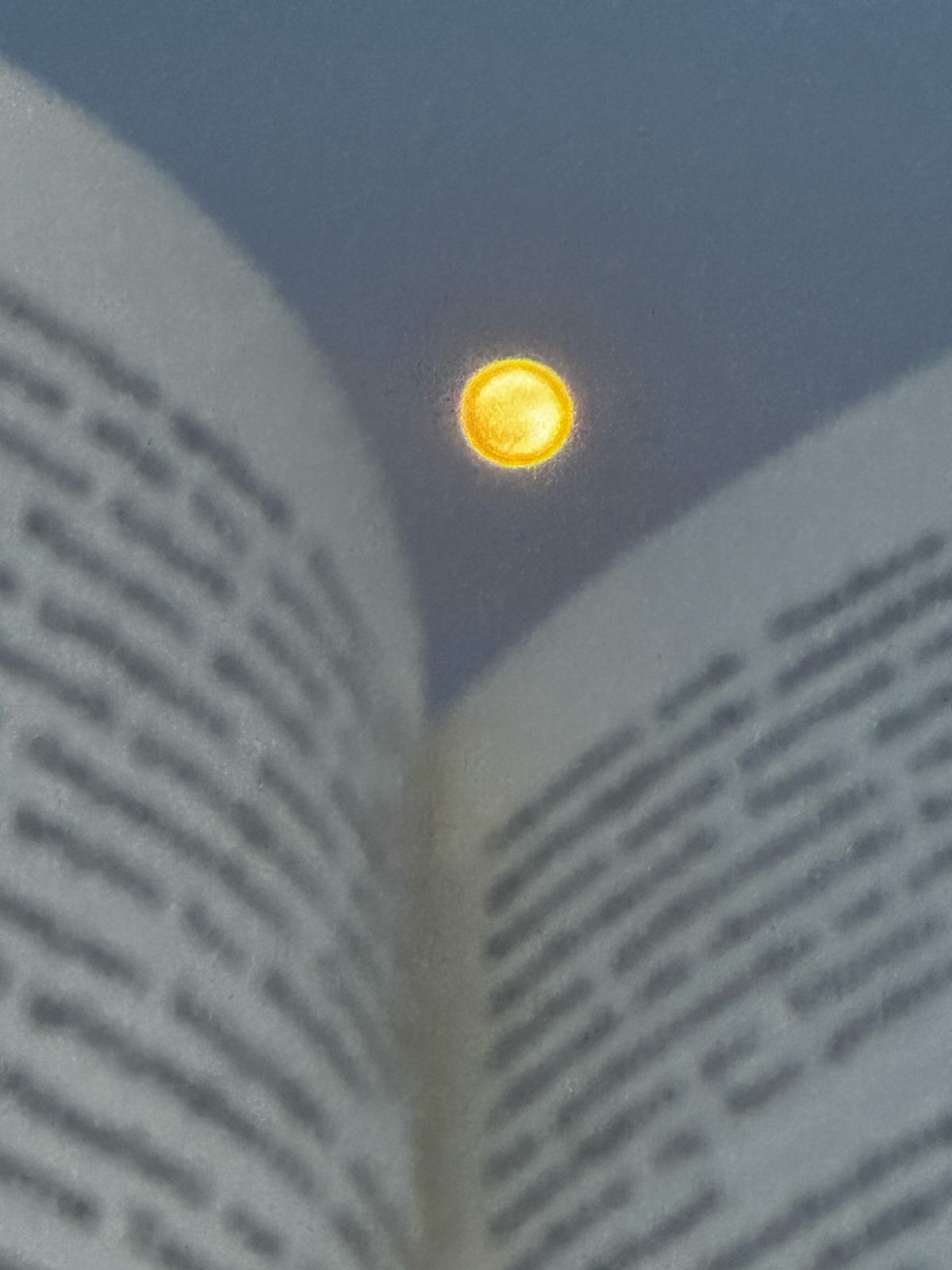 The Meanings of Life. One of the most absurd things we do… | by ...