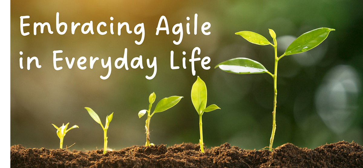 Embracing Agile in Everyday Life. In our ever-changing world, agility ...