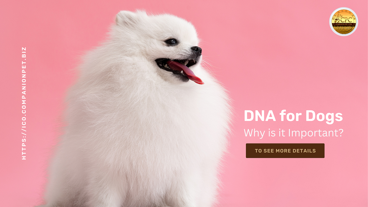 DNA for Dogs.. Why is it Important? | by Companion Pet World | Medium