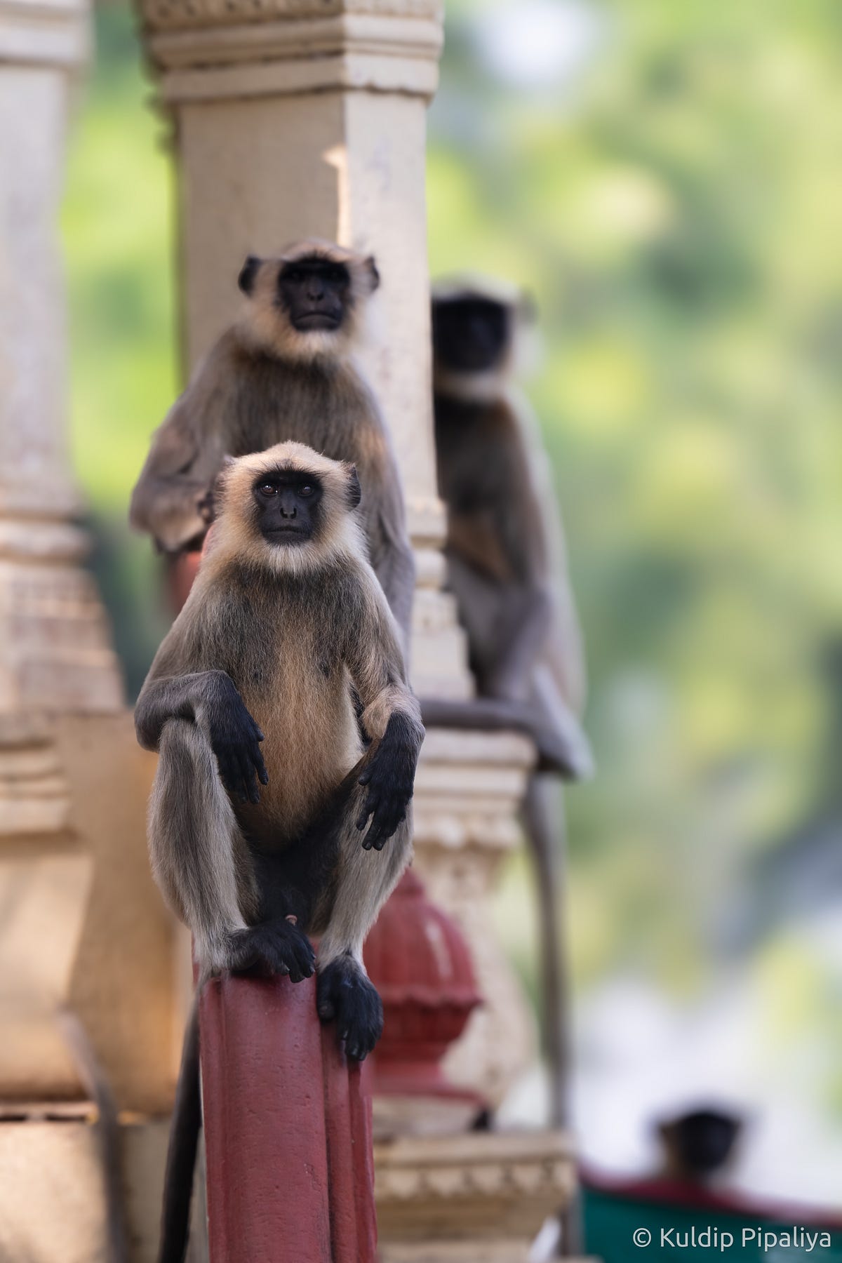 Building Responsive UIs with React and Styled Components | by KULDIP PIPALIYA | Medium