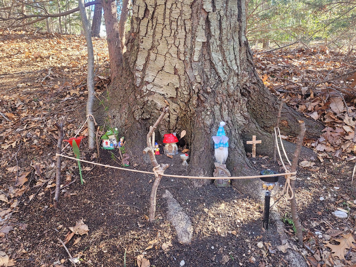 Time to Parlay with the Butterflies… | by Determination, Deliberation ...