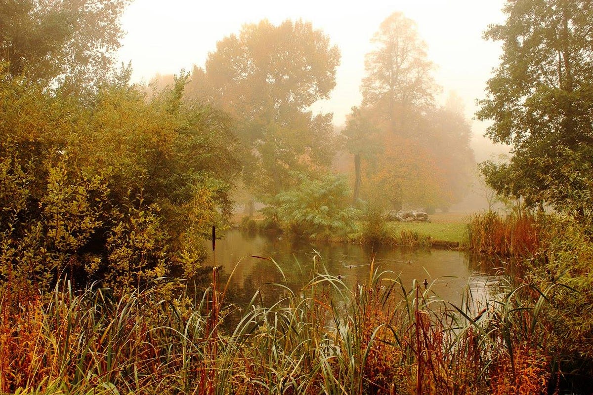 Wonder, mist & craft. 1. Wonder | by Artmemos | Weekly Memos | Medium