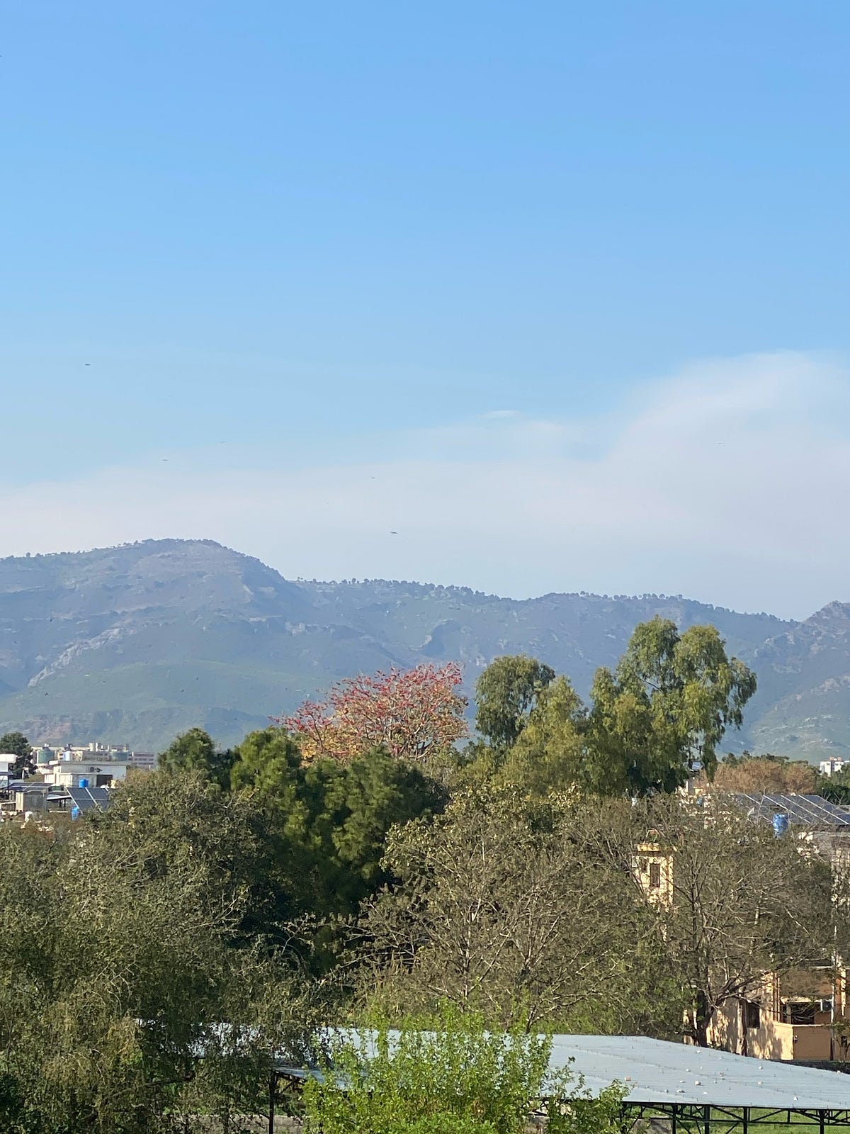 Personal Blog 2: Finally the SUN is out, with its full glory | by Anna Quest | Mar, 2025 | Medium