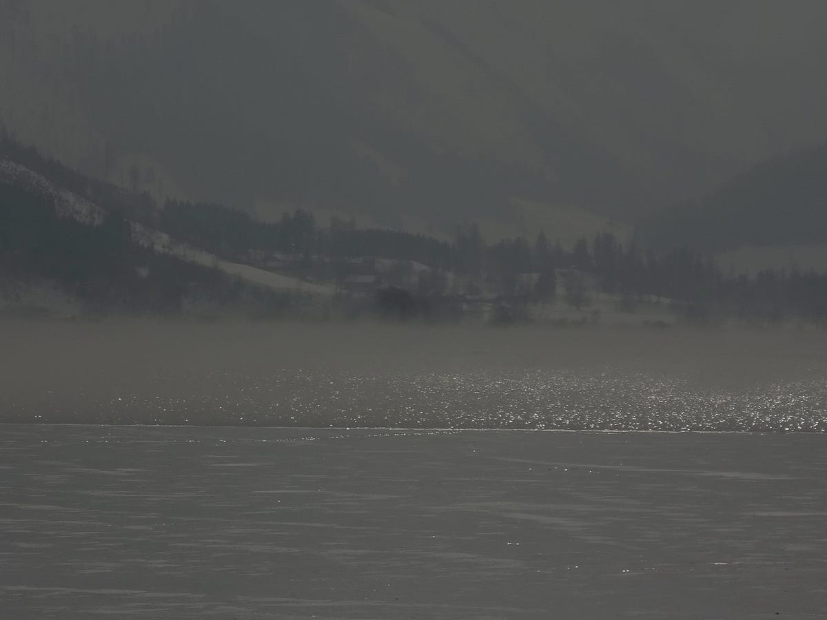 byproduct. … | by Franco Amati | Scuzzbucket | Medium