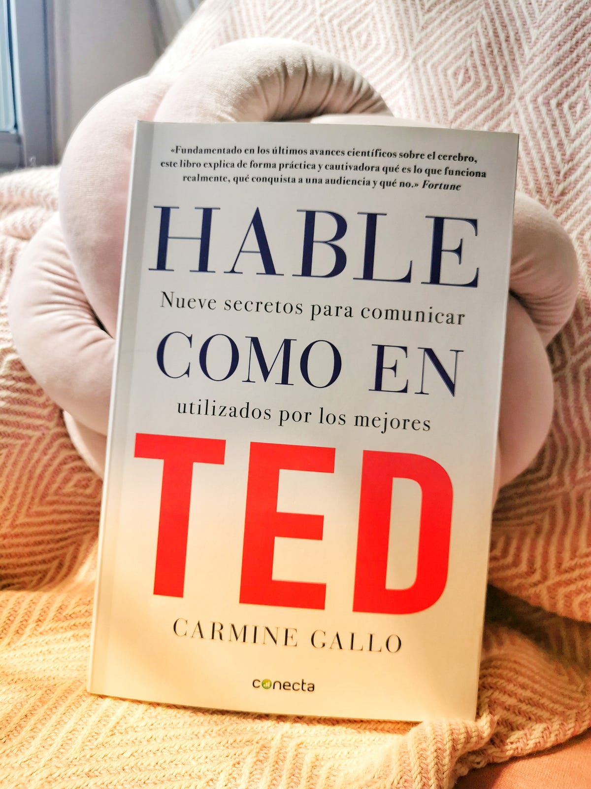 Hable como en TED — Carmine Gallo | by Marlene — Entre Líneas | Medium