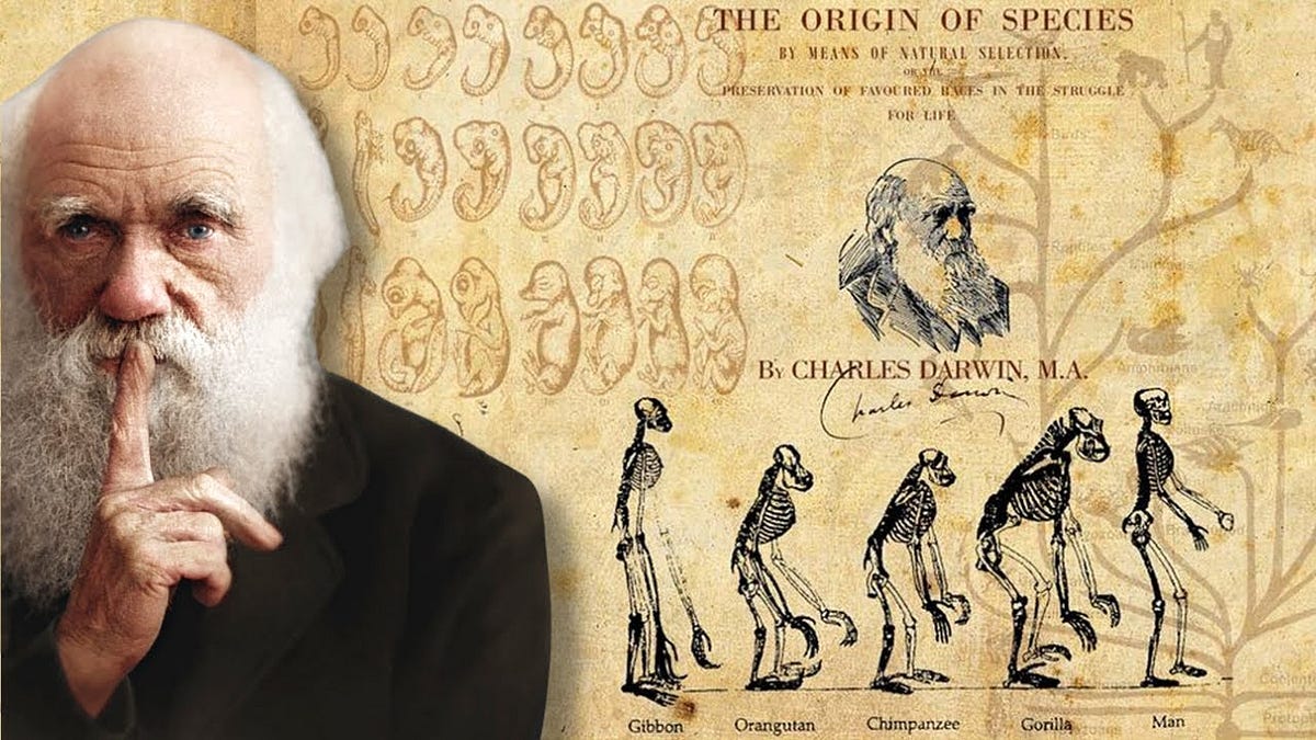 The Myth of Evolution. Animals waited to become humans until… | by ...