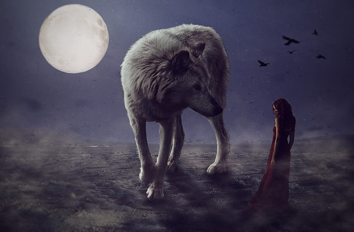 Once upon a time, a werewolf. Once upon a time, | by Elisa N | Medium