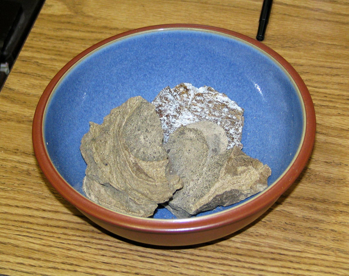 Why Is ‘Whale Vomit’ So Valuable That It Sells for $50,000 per Kilogram ...