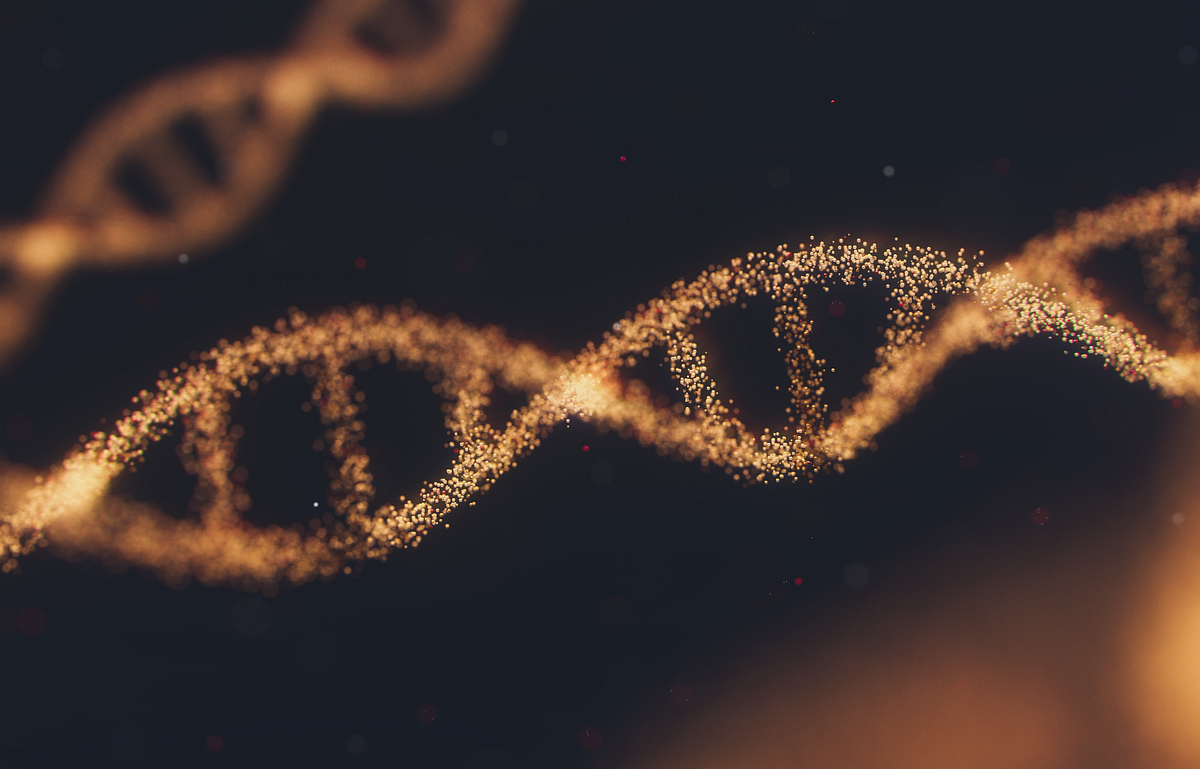 CRISPR: A Beginner’s Guide to Cutting-Edge Gene Editing | by David J ...