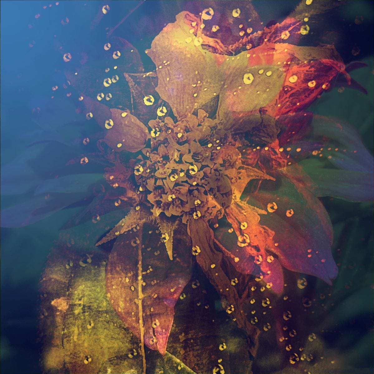 Just As You Have a Fingerprint, You Have a Unique Social Biome, But How ...