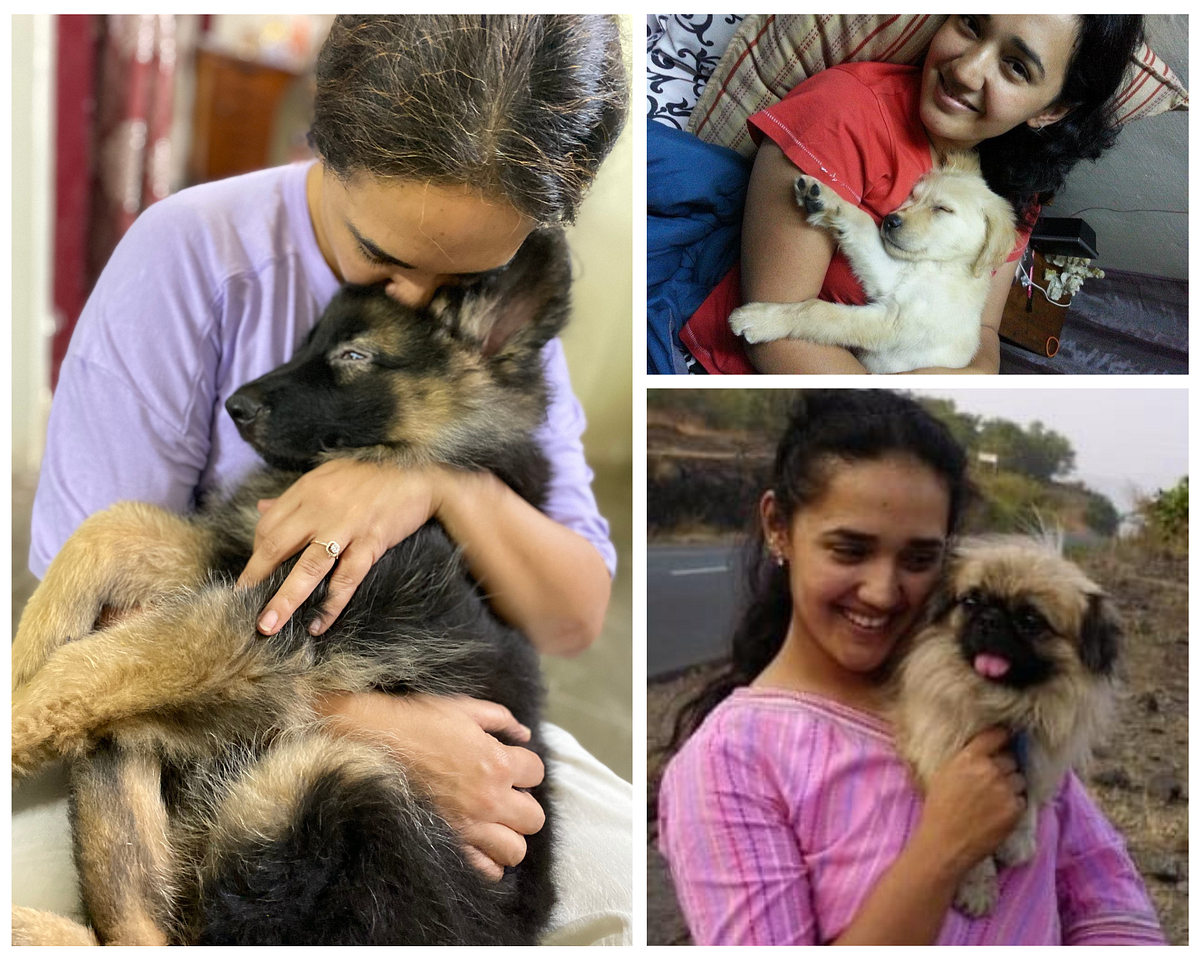 A Me And The Many Companions. Gratitude to the fur balls | by Divya Goswami | ILLUMINATION | Medium